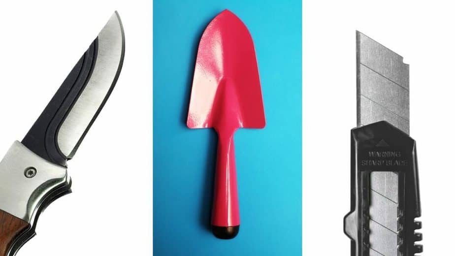 How to Humanely Kill an Injured Bird? 3 Suggested Methods