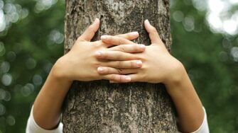 Having to Pee at Night When Camping — 10 Best Solutions