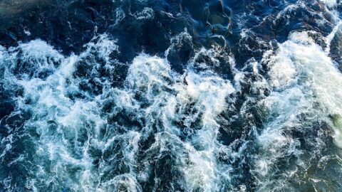 Whitecaps on the Ocean — What is It? Best Answer Revealed!