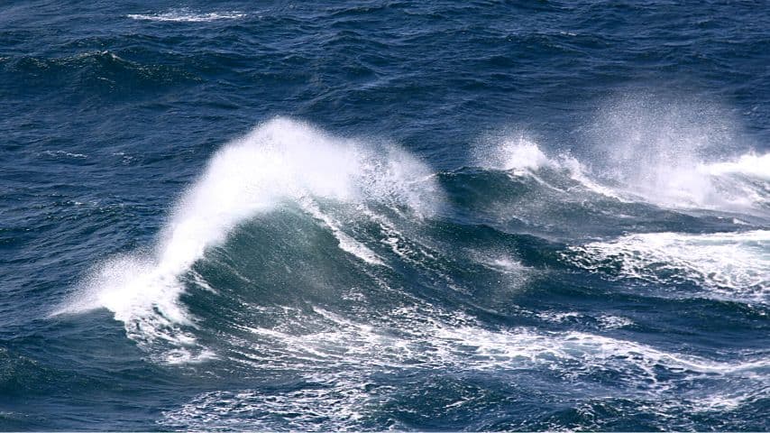 Whitecaps on the Ocean — What is It? Best Answer Revealed!