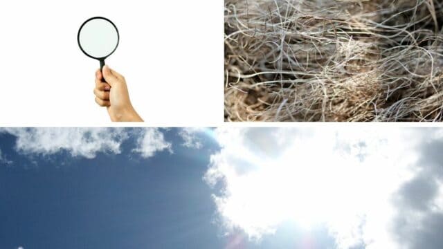 How To Make A Fire Using Light Passing Through A Magnifying Glass